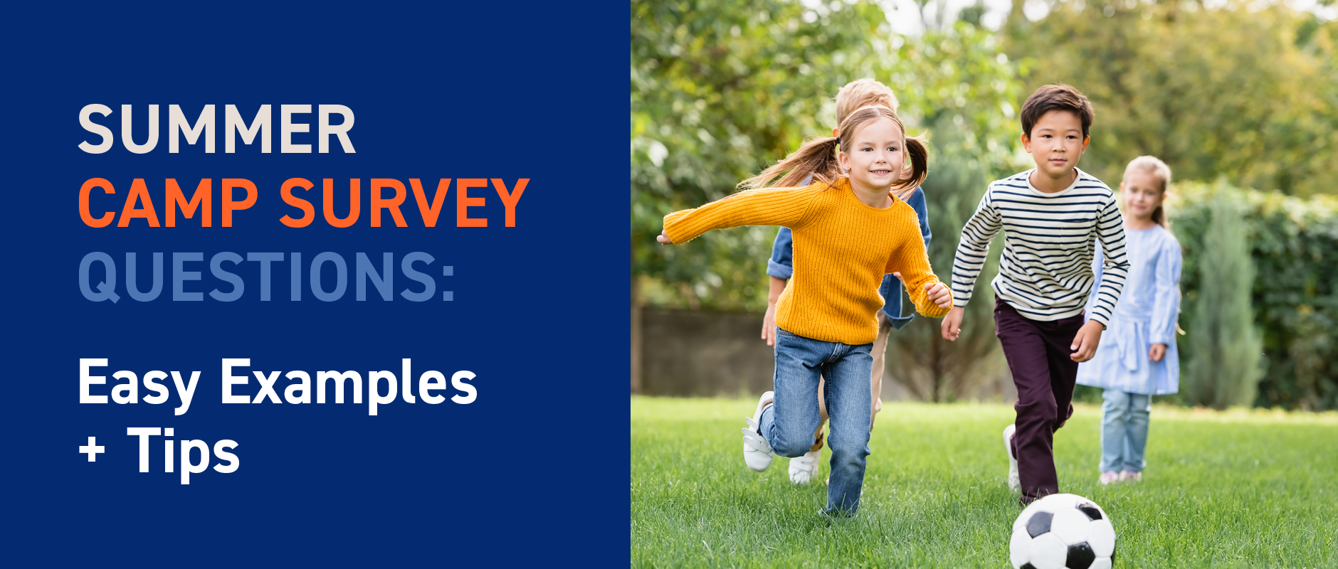 The CircuiTree Blog - CircuiTree